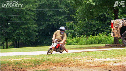 Dum Fisk Gif New How Does He Keep Getting Away With This ...