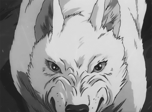 Download Animal Wolf Gif