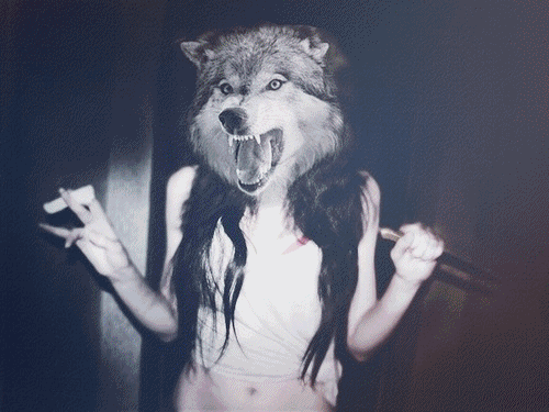 Download Animal Wolf Gif