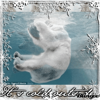Polar Bear Gif - Gif Abyss