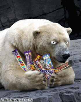 Bear Eating Cake Gif Bear Eating Cake PNG Transparent Images Free