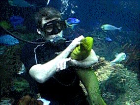 Eel Gifs