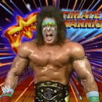Download WWE Sports Gif