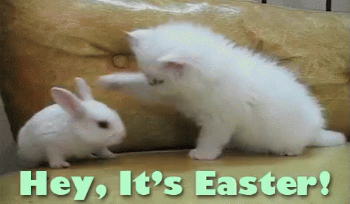 Easter Gif - Gif Abyss