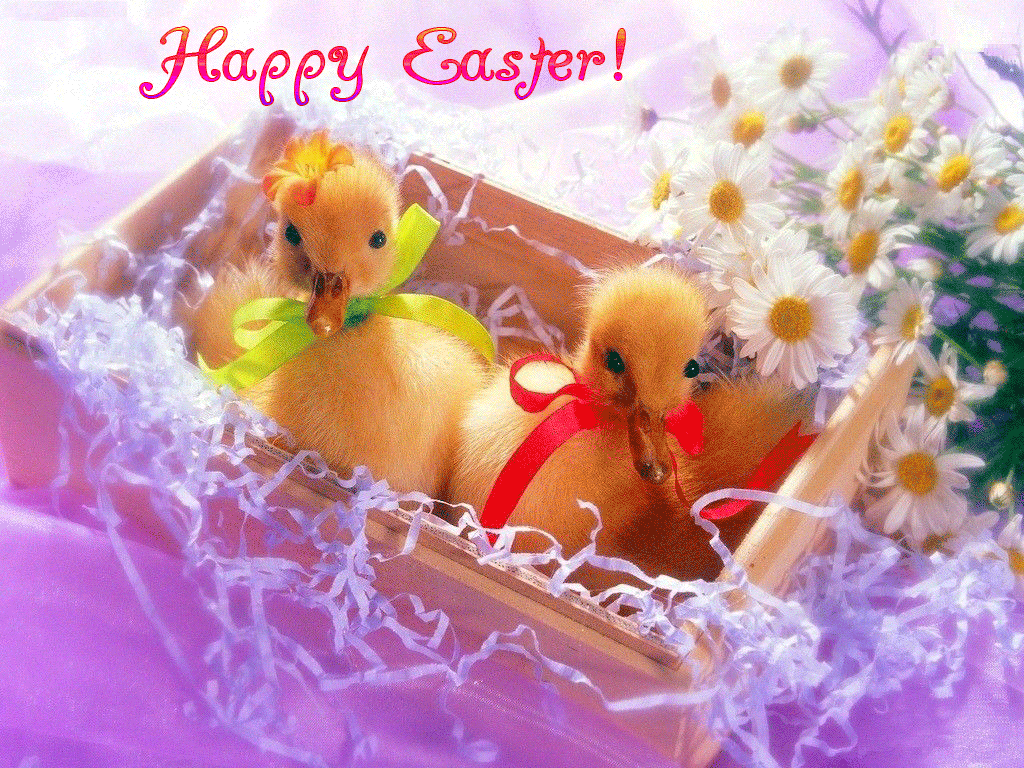 Download Holiday Easter Gif