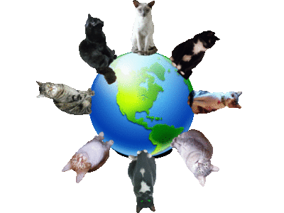 Download Holiday Earth Day Gif - Gif Abyss