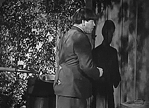 Download TV Show The Three Stooges Gif