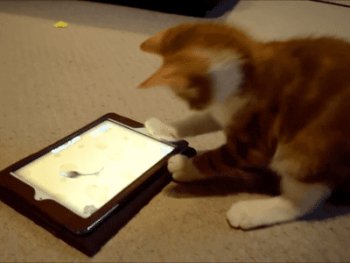 Tablet Gifs