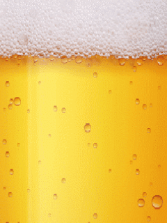 Download Food Beer Gif