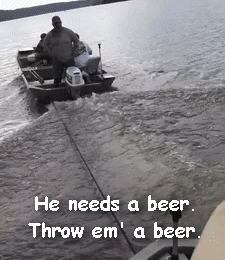 Download Food Beer Gif - Gif Abyss