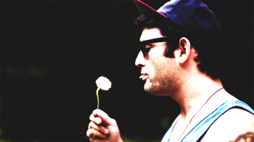 Beer Gif - Gif Abyss