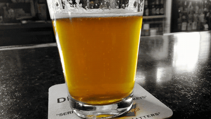 Download Food Beer Gif