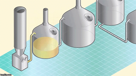 Download Food Beer Gif