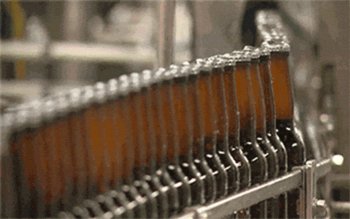 Download Food Beer Gif