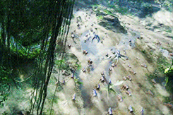 Download Movie Avatar Gif