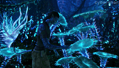 Download Movie Avatar Gif