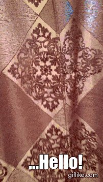 Download Hello Misc Statement Gif