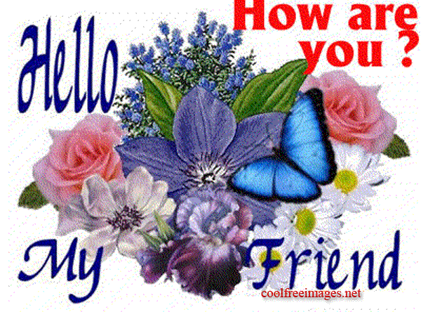 Download Hello Misc Statement Gif
