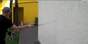 Dog Training - Gif Abyss