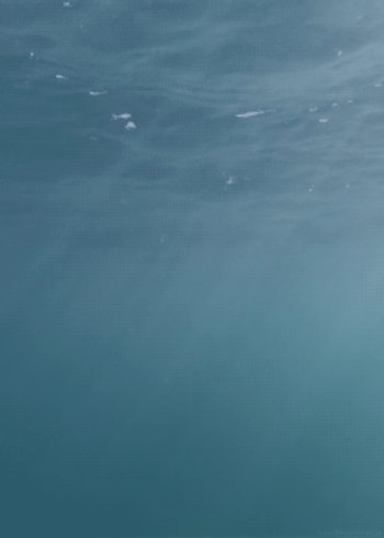 Download Nature Ocean Gif