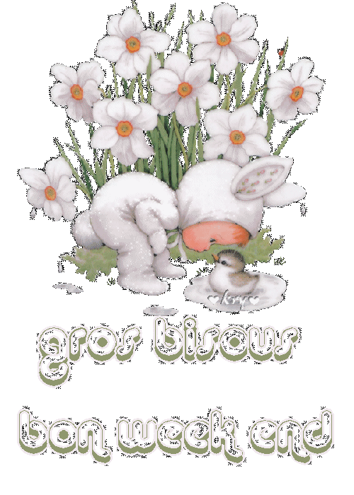 Statement Gif - Gif Abyss