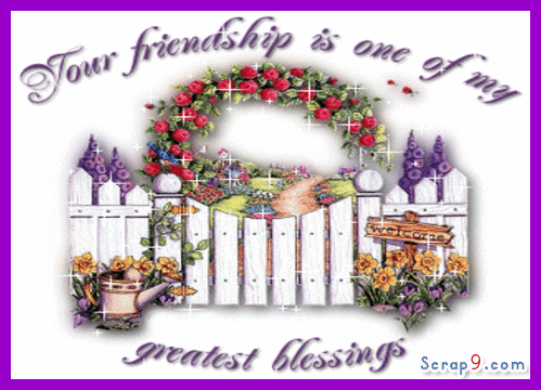 Statement Gif - Gif Abyss