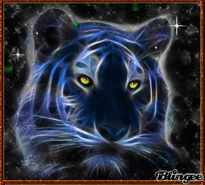 Download Glitter Animal Tiger Gif