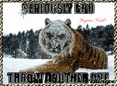 Tiger Gif - Gif Abyss