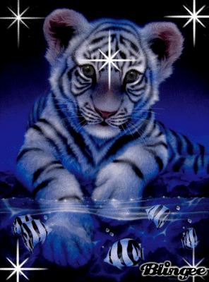 Download Glitter Animal Tiger Gif