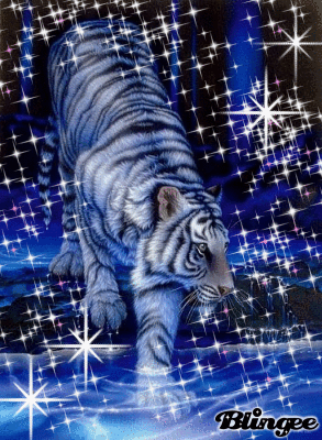 Tiger Gif - Gif Abyss