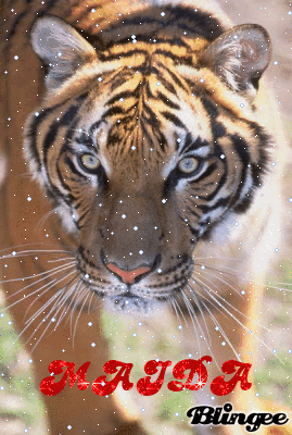 Download Glitter Animal Tiger Gif