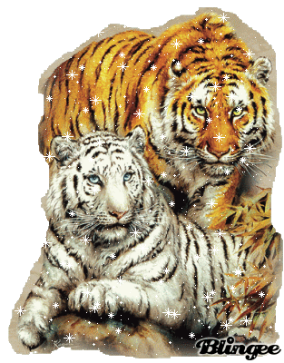 Download Glitter Animal Tiger Gif