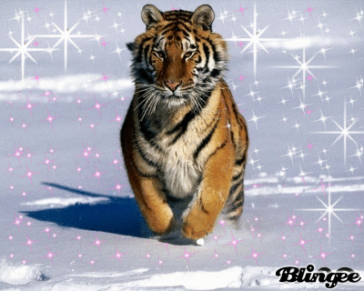 Download Glitter Animal Tiger Gif