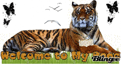 Tiger Gif - Gif Abyss