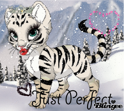 Tiger Gif - Gif Abyss