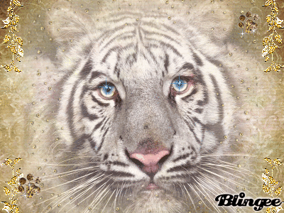 Download Glitter Animal Tiger Gif