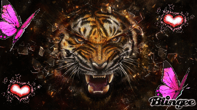 Tiger Gif - Gif Abyss