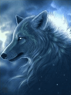 White Wolf With Blue Eyes Gif