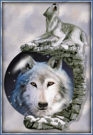 Wolf Gif - Gif Abyss