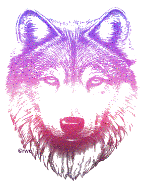 Download Glitter Animal Wolf Gif