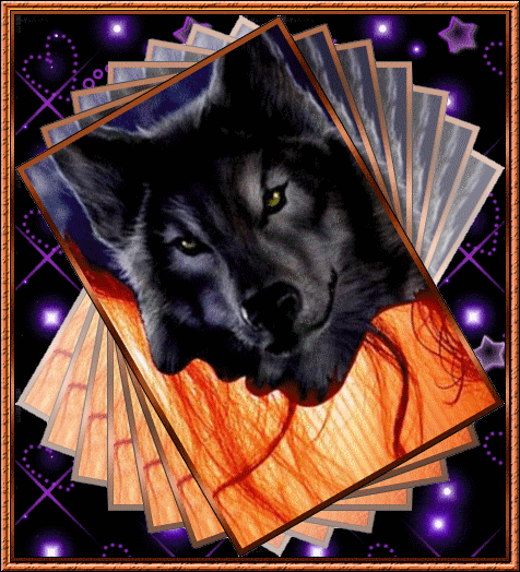 Download Glitter Animal Wolf Gif