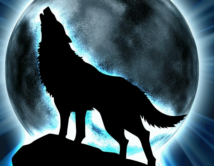 Wolf Gif - Gif Abyss
