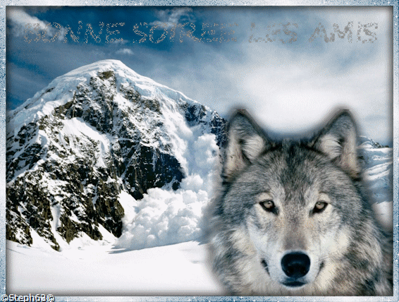 Wolf Gif - Gif Abyss