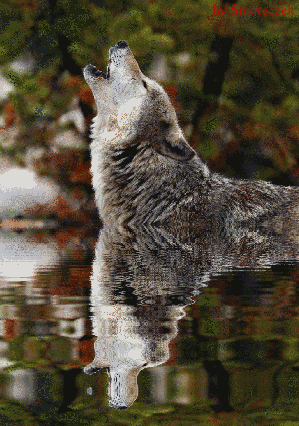 Wolf Gif - Gif Abyss