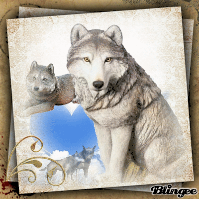 Fantasy Wolf Gif - Gif Abyss