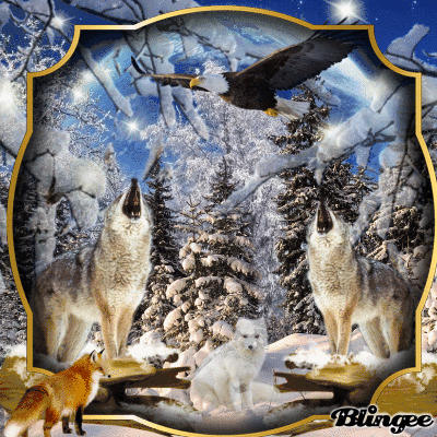 Fantasy Wolf Gif - Gif Abyss