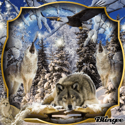 Fantasy Wolf Gif - Gif Abyss