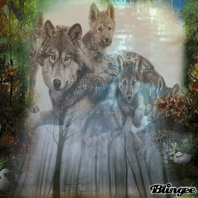 Fantasy Wolf Gif - Gif Abyss