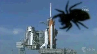 Download Vehicle Space Shuttle Gif