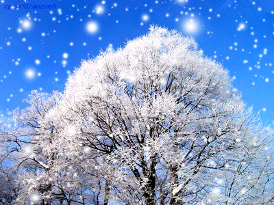 Download Glitter Artistic Winter Gif